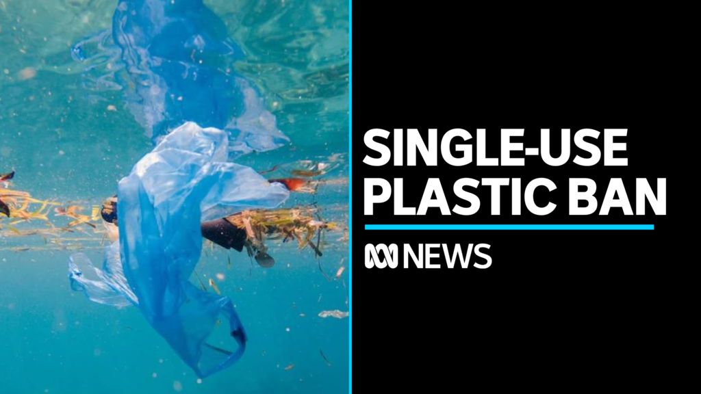 Ban on single-use plastic items set to come into effect - ABC News