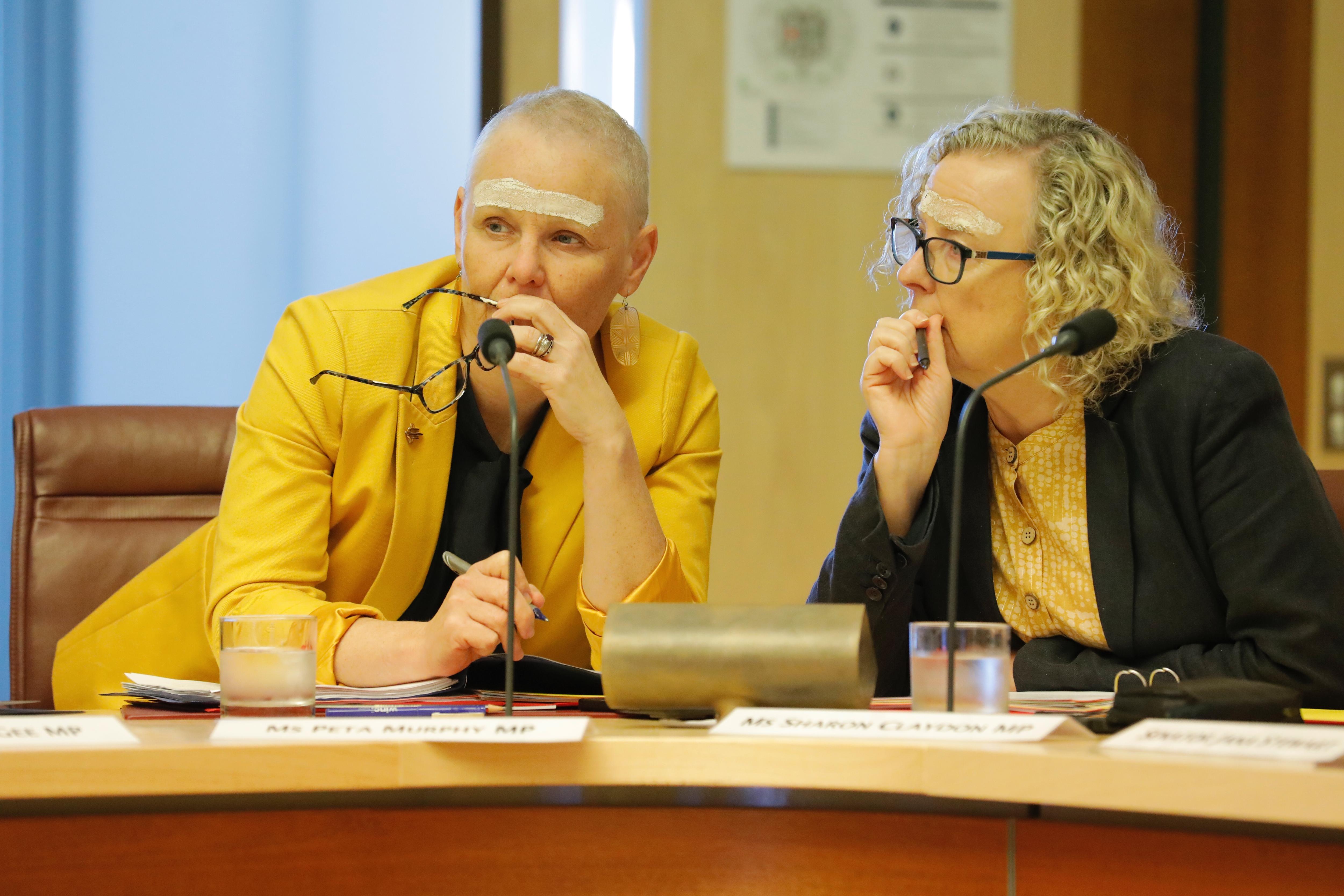 Peta Murphy remembered as empathetic and intellectual as parliament ...