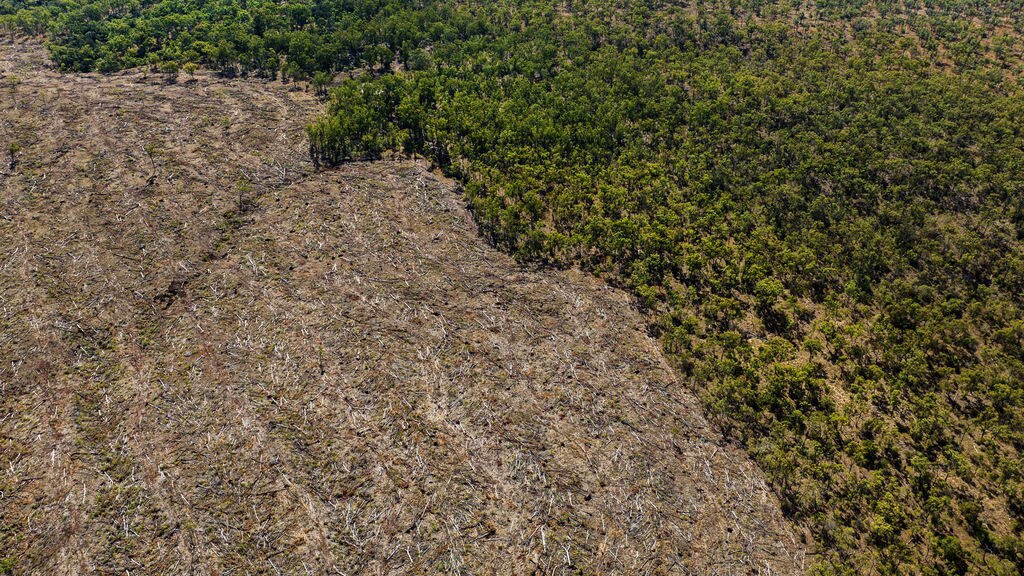 Recent land clearing in central Queensland legal under the category X exemption - ABC News