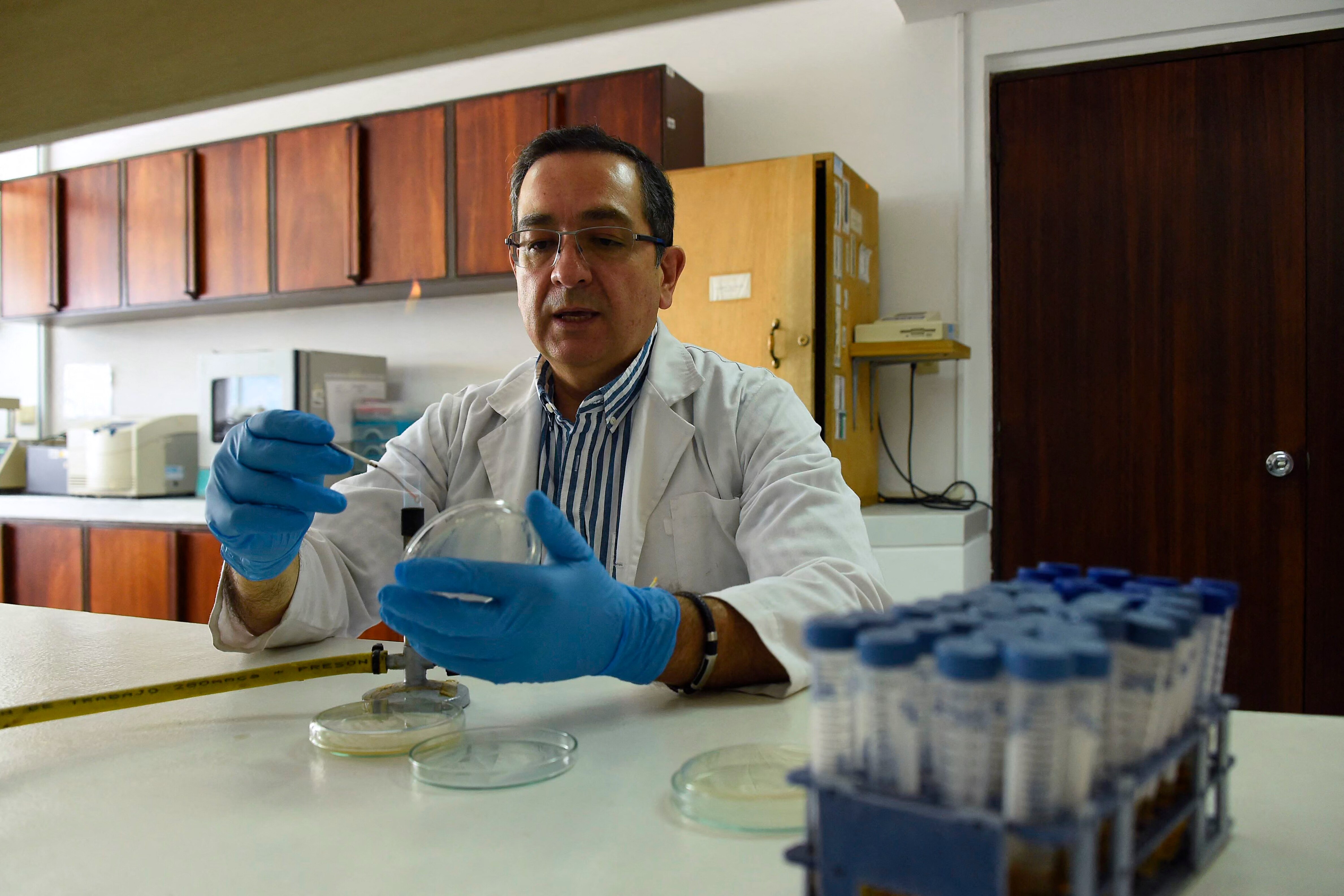 Ecuadorian scientist discovers 400-year-old yeast said to be key to ...