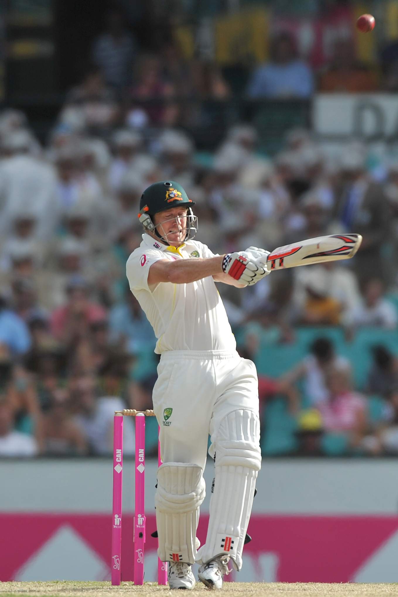 Australia appoints former Test batsman George Bailey to national ...