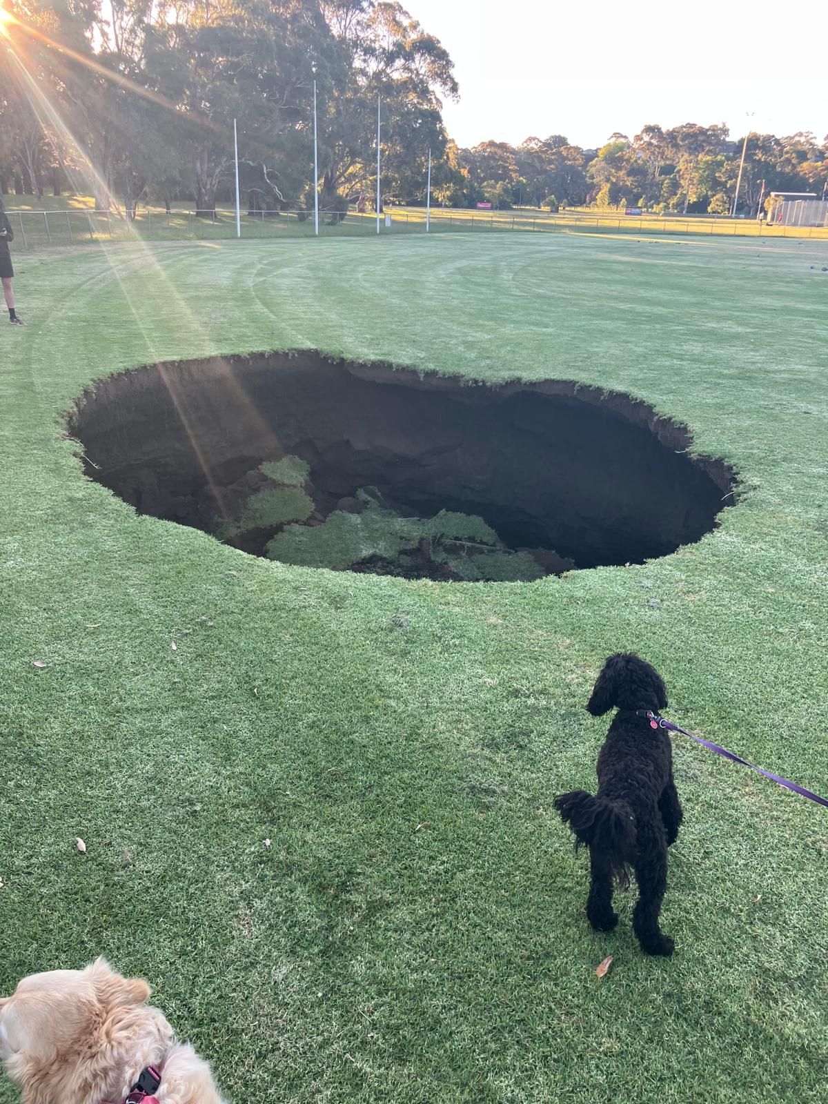 Banyule locals question whether North East Link caused sinkhole at ...