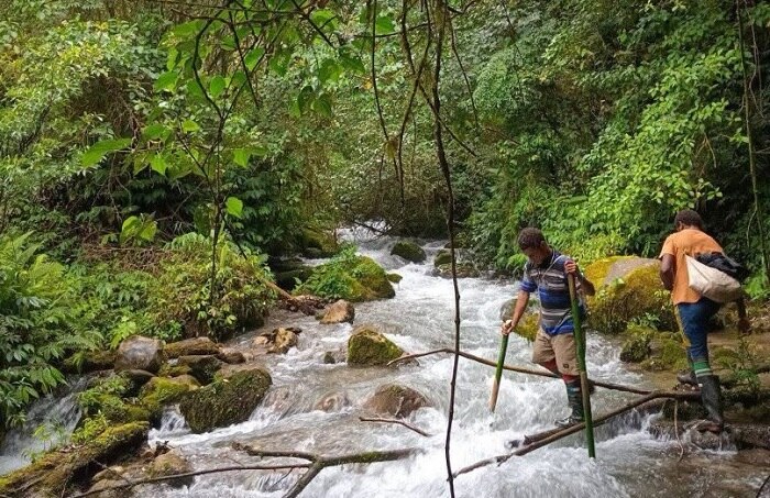 Tok Pisin - ABC News