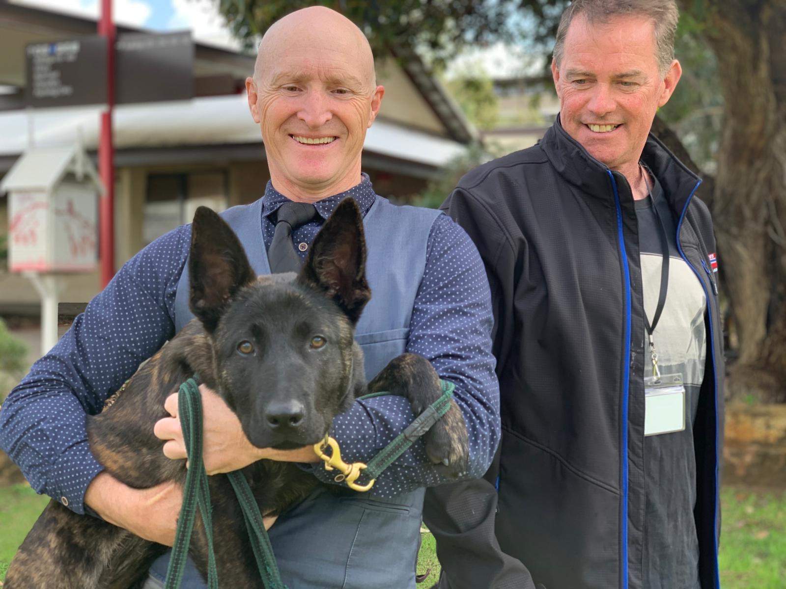 Pet detectives: the Perth dogs who could soon be sniffing out hidden ...