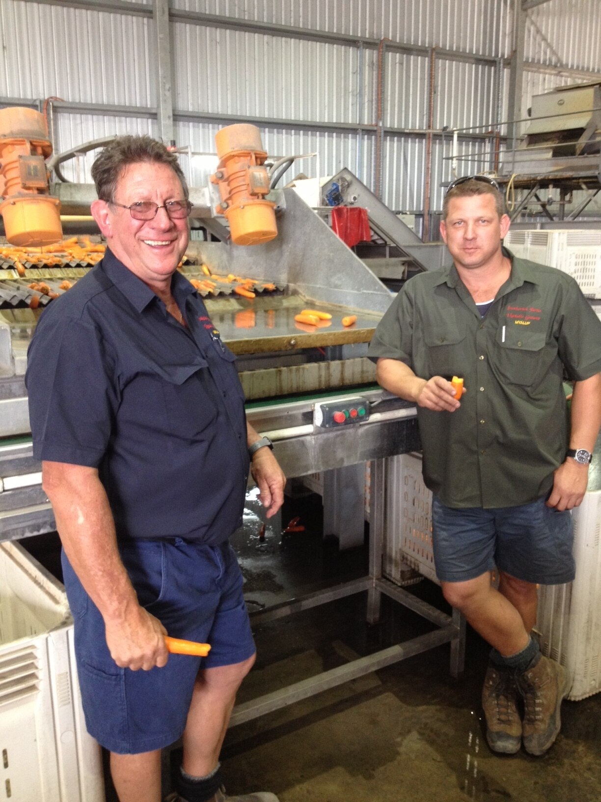 Vegetable growers 'hindered' by red tape - ABC News