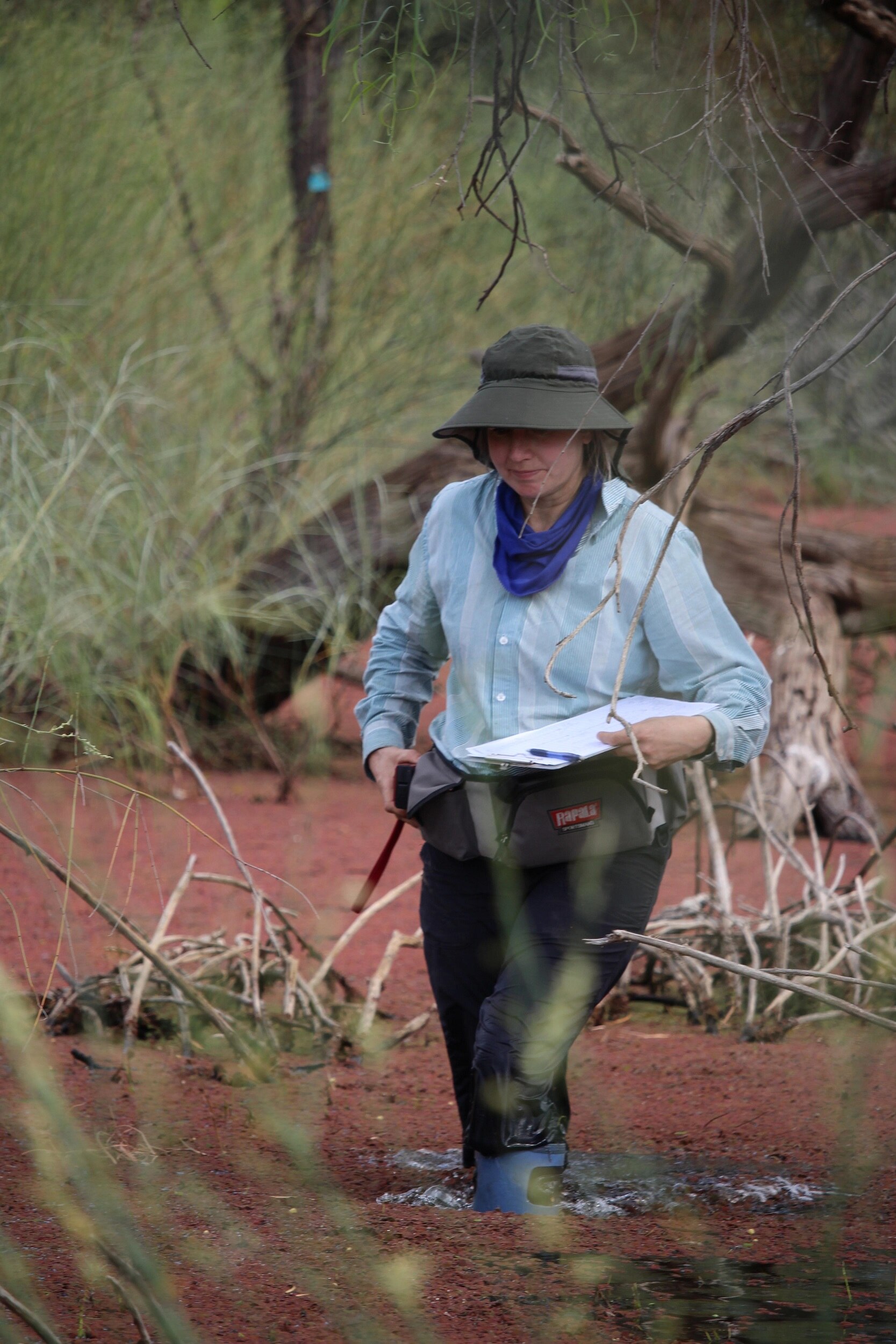 The sound of water explored at Nap Nap Swamp as wetlands come alive ...