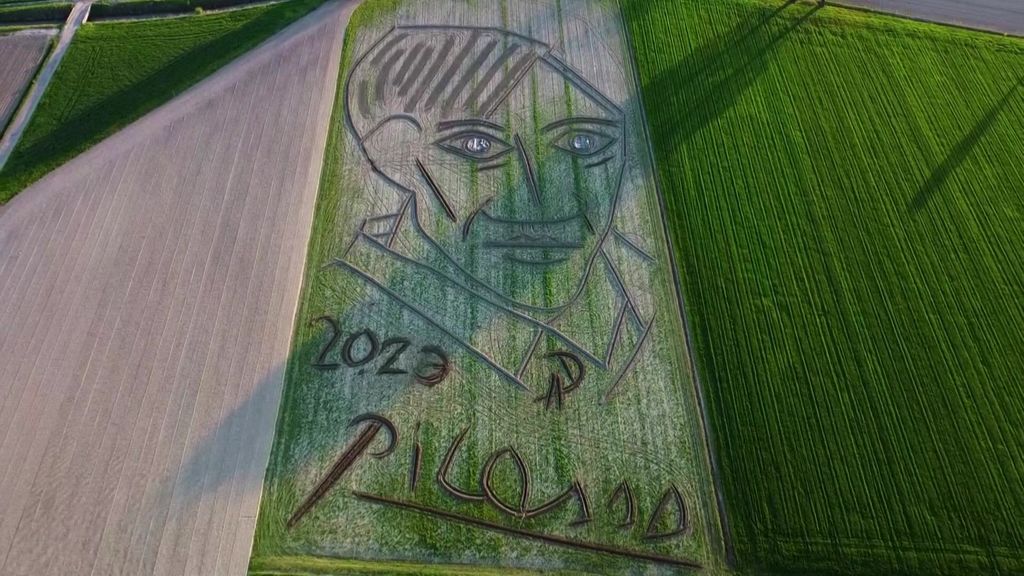 Giant portrait of Pablo Picasso carved on wasteland using a tractor in ...