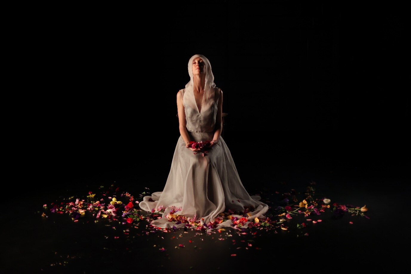 Rachel Edwards - ABC News