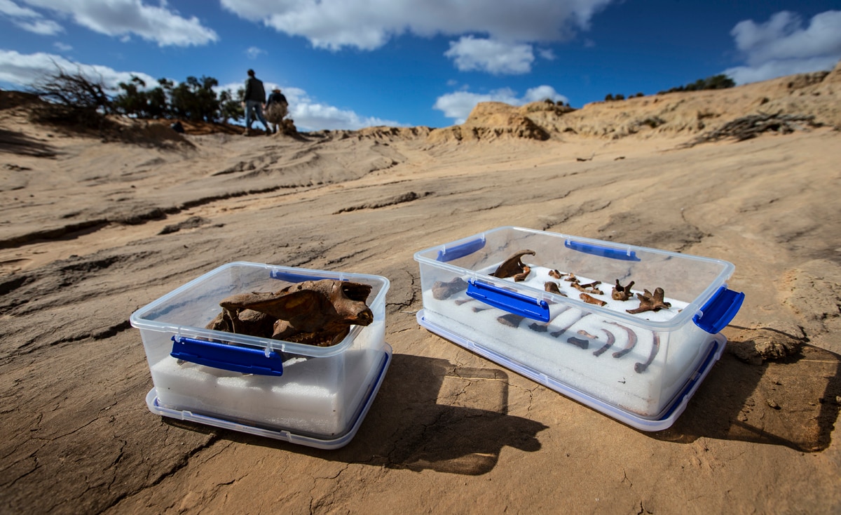 Lake Mungo mysteries captivate students as archaeologists try to solve ...