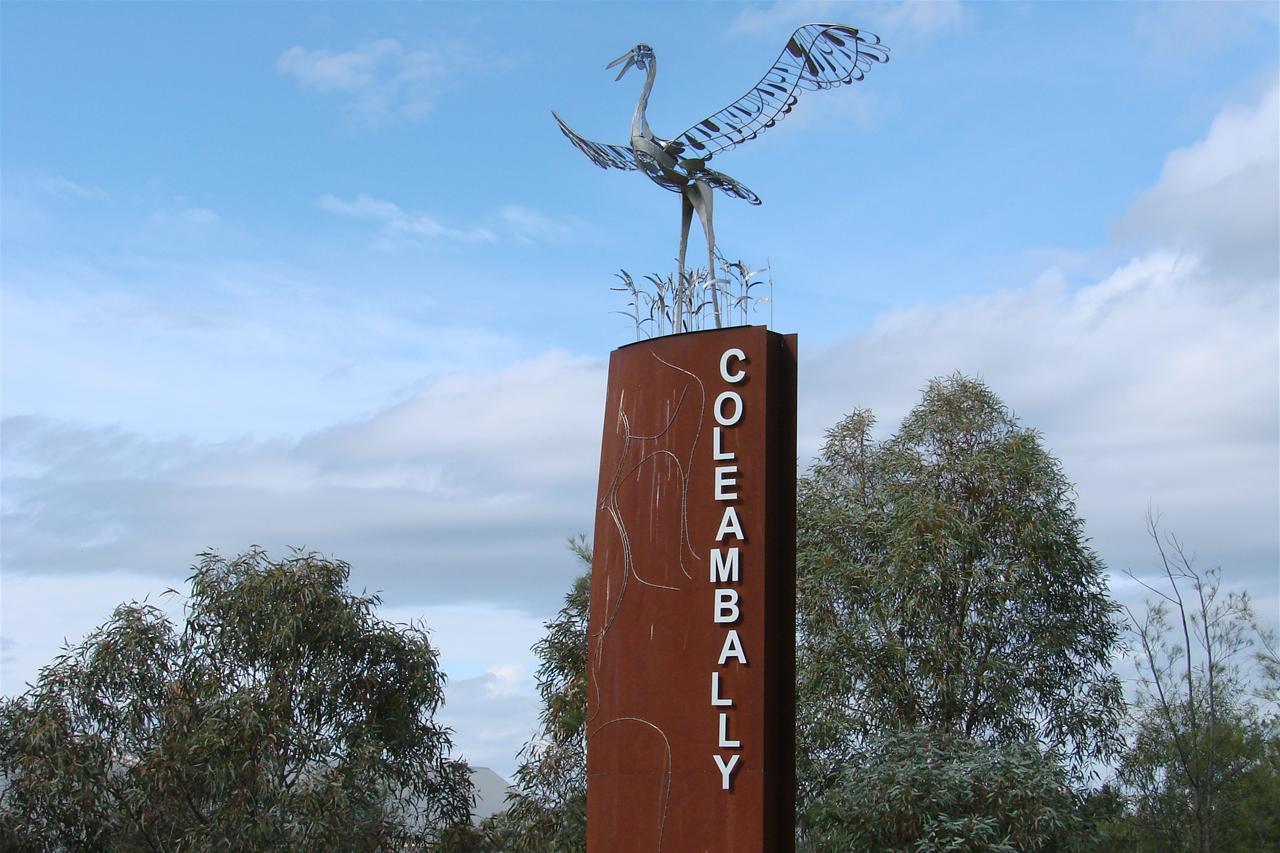 We need help to survive: Coleambally - ABC News