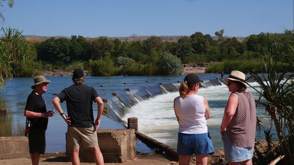 High temperatures in the Kimberley - ABC News