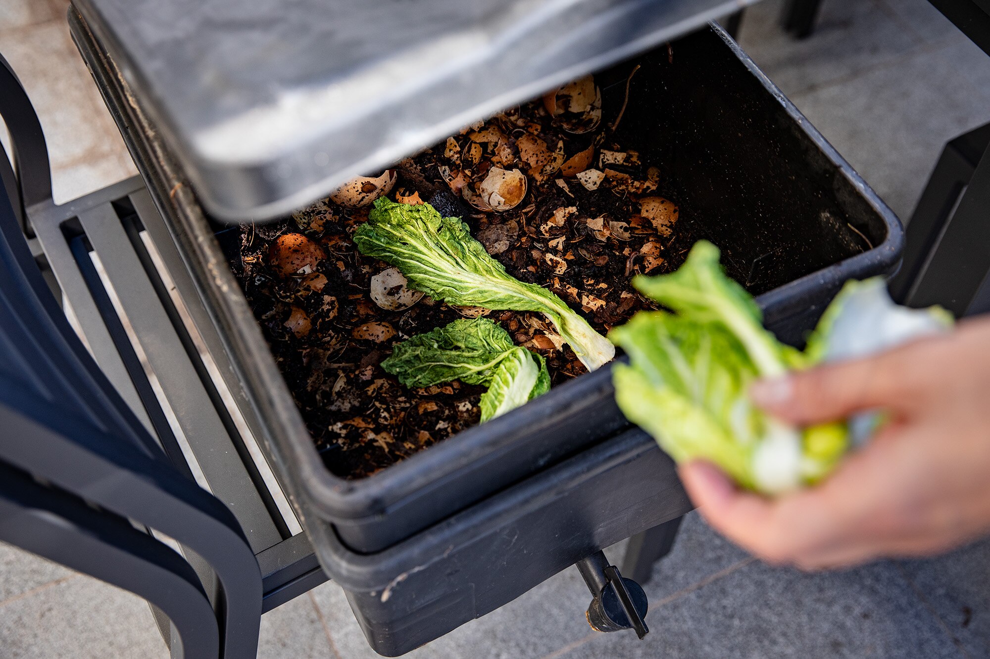 'Garbologist' Belinda Chellingworth has so little waste she's ditched ...