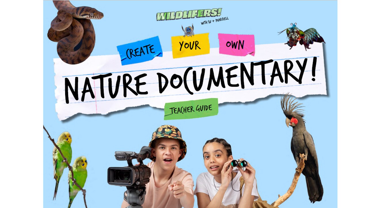 WILDLIFERS!: Make your own nature documentary - ABC Education
