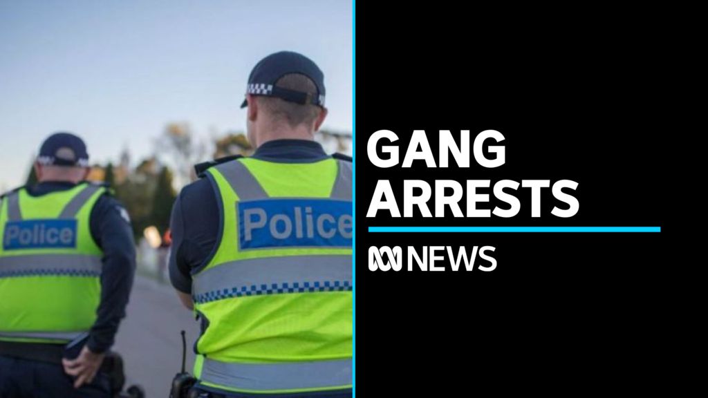 Anti-racism campaign launched in schools - ABC News