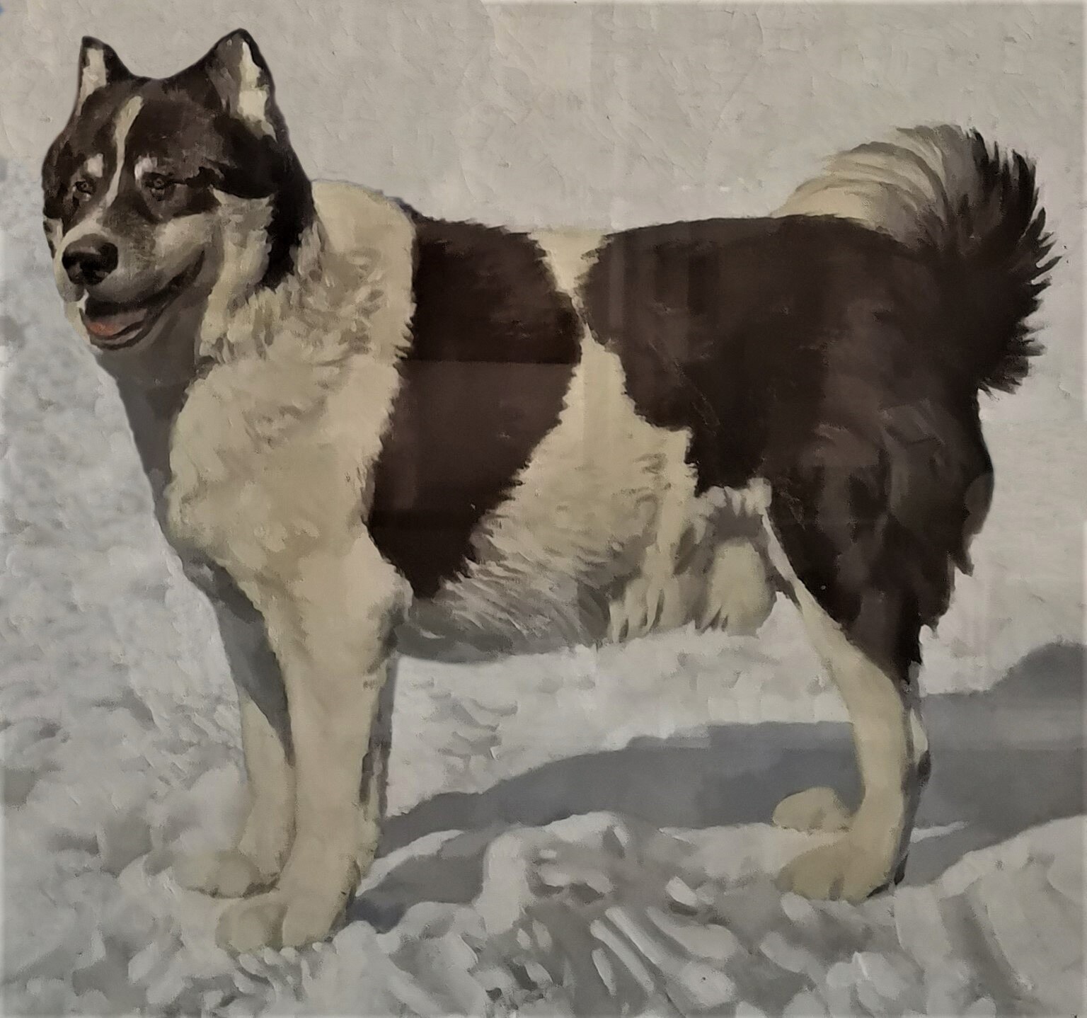 Polar explorer John Rymill's country-town upbringing prepared him to ...