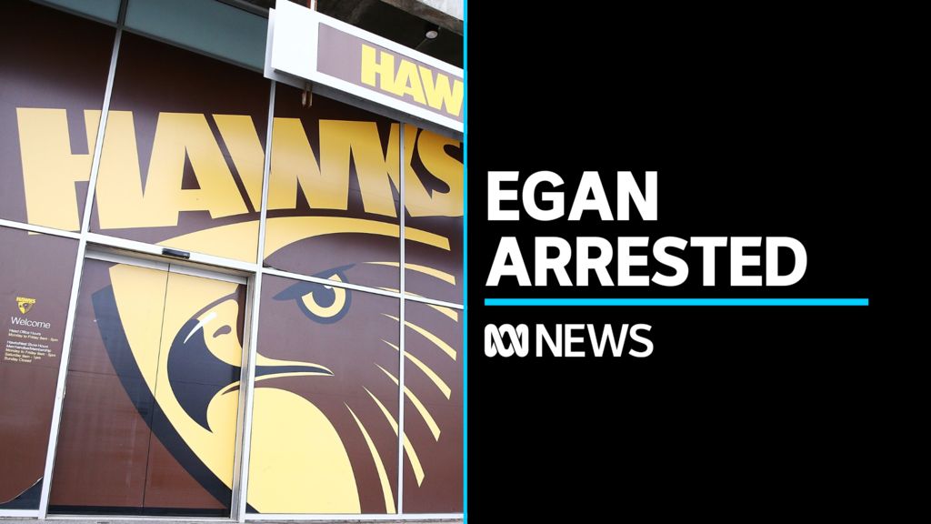 Hawthorn racism report author arrested in fraud probe - ABC News