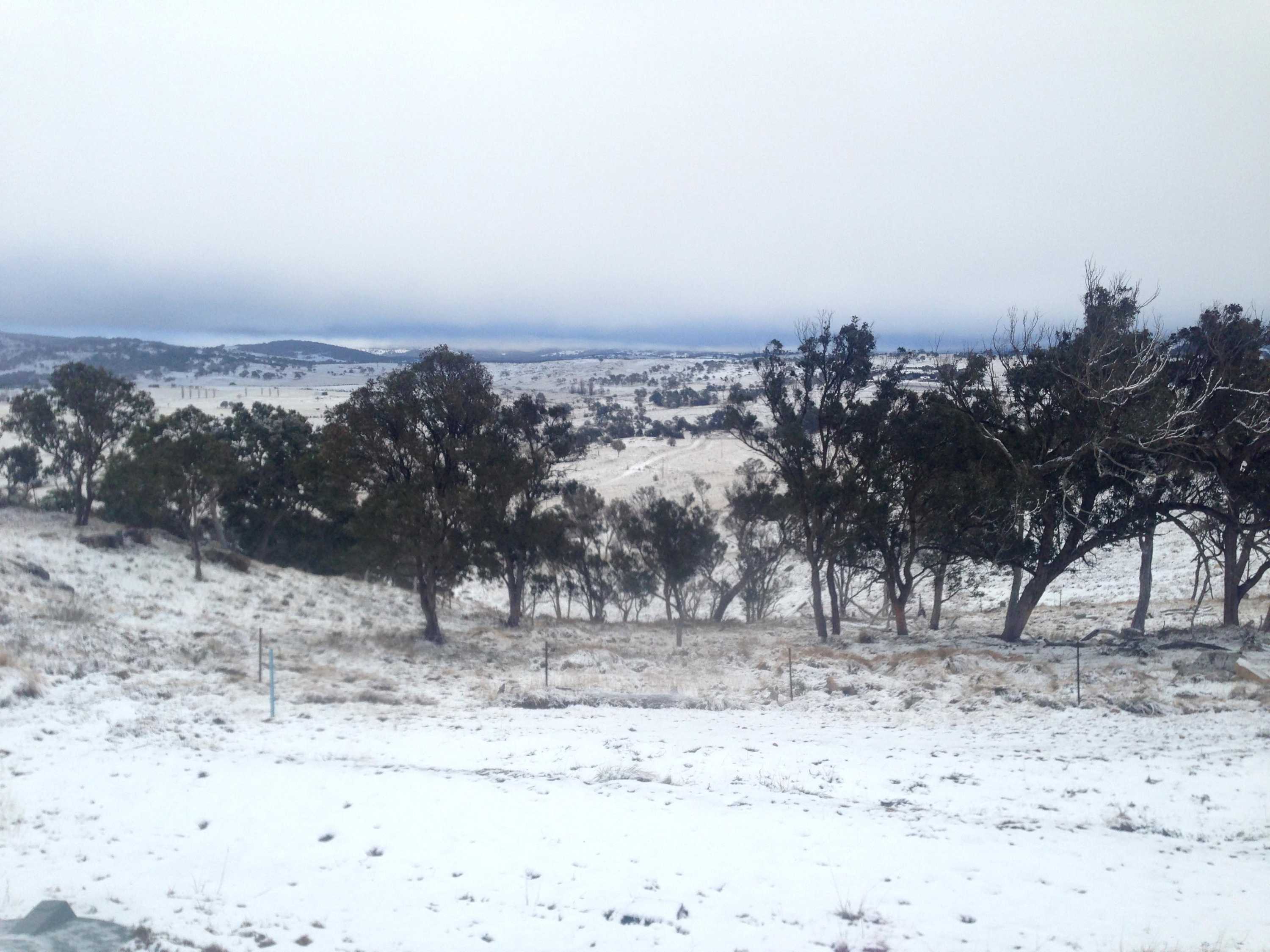 Cold snap welcomed by many farmers in central NSW - ABC News