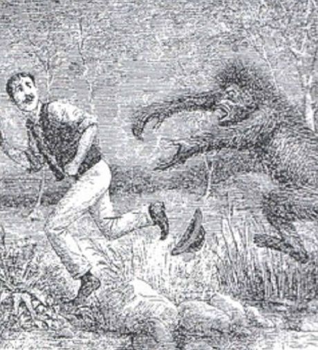 Is the "Yahoo" Australia's bigfoot? - ABC listen