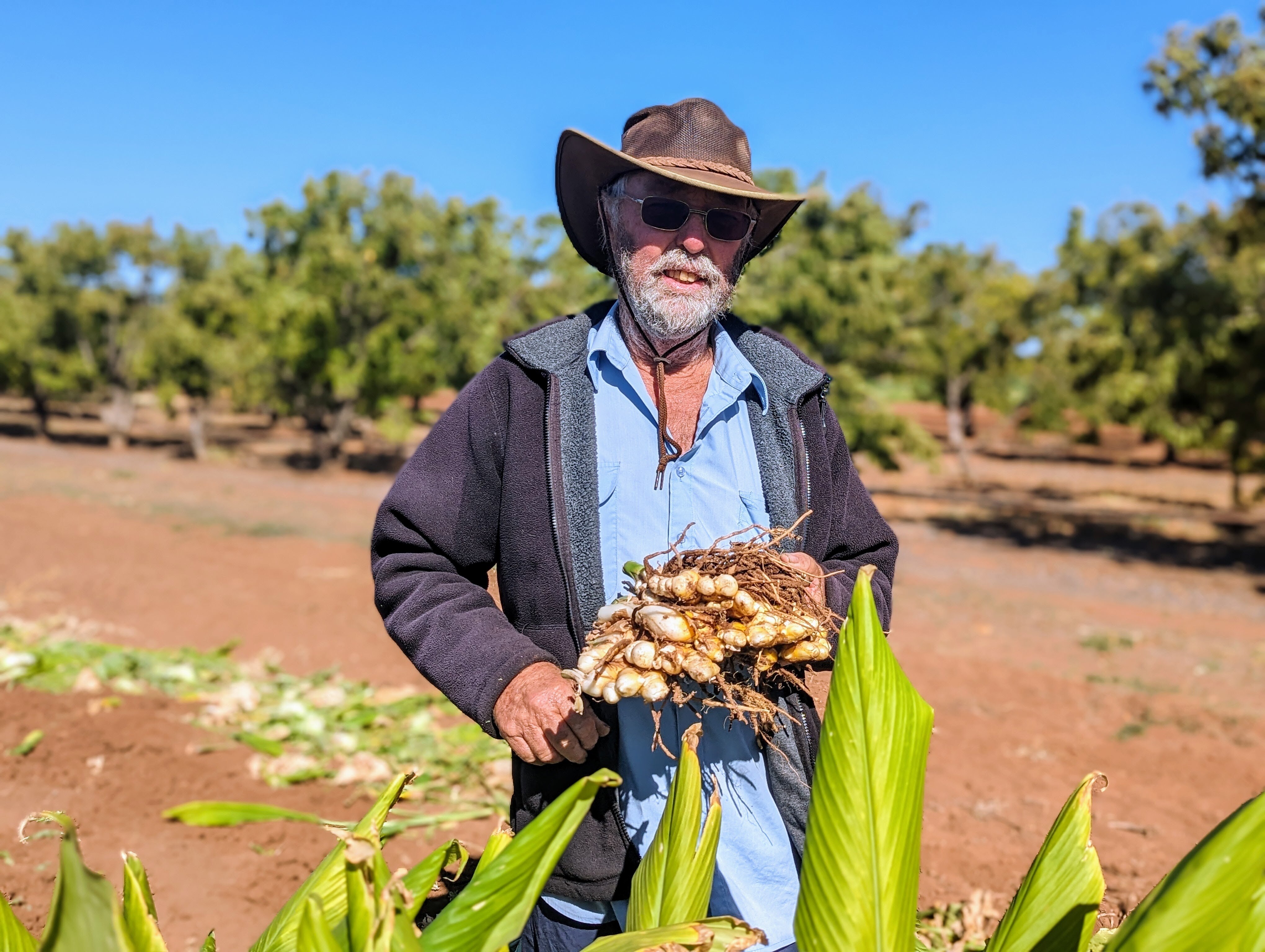 Turmeric farmers find success growing in Riverland's dry climate with ...