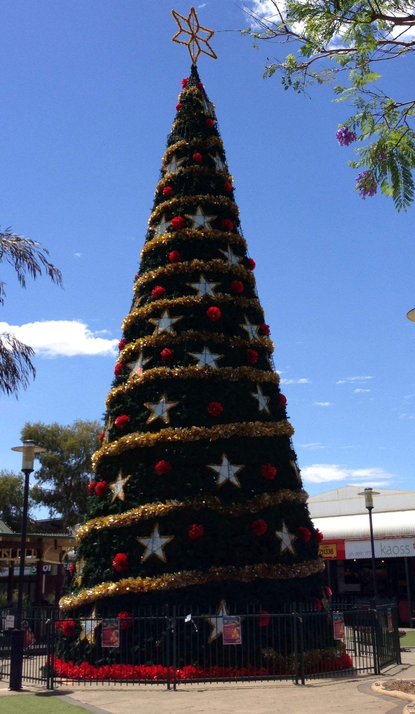 A man has been seriously injured after falling out of a public ...