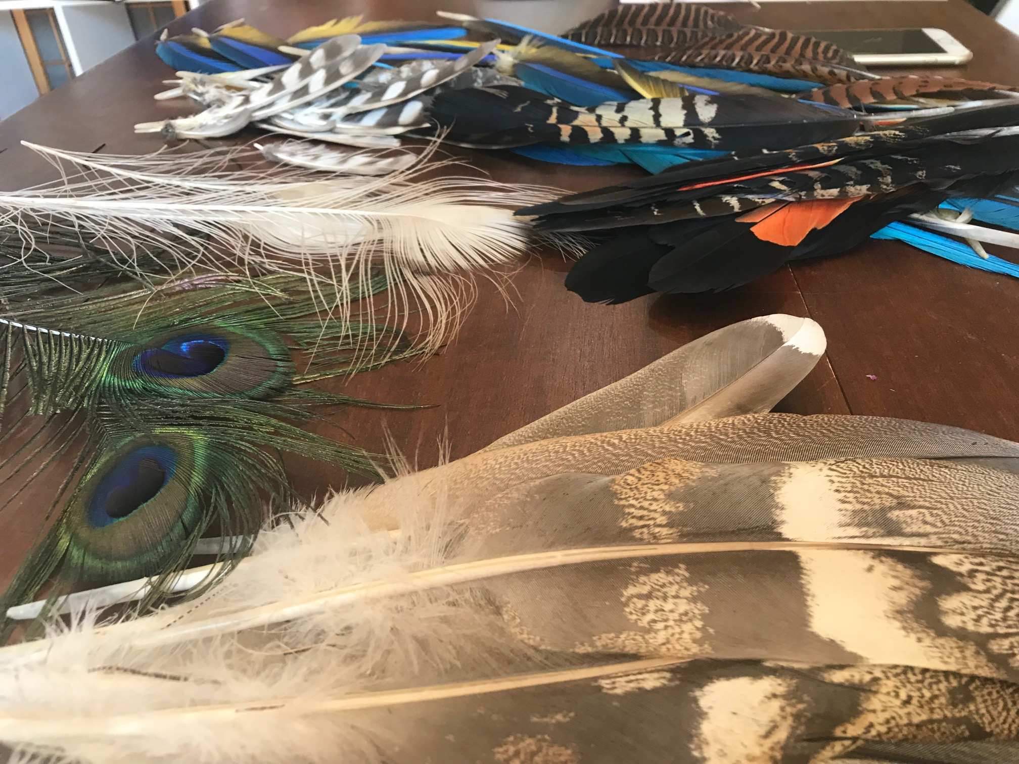 Former outback jillaroo finds international fame for her one-of-a-kind ...