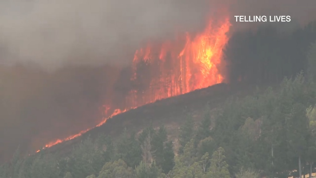 Christchurch: More than 1,000 people evacuated as New Zealand bushfire ...