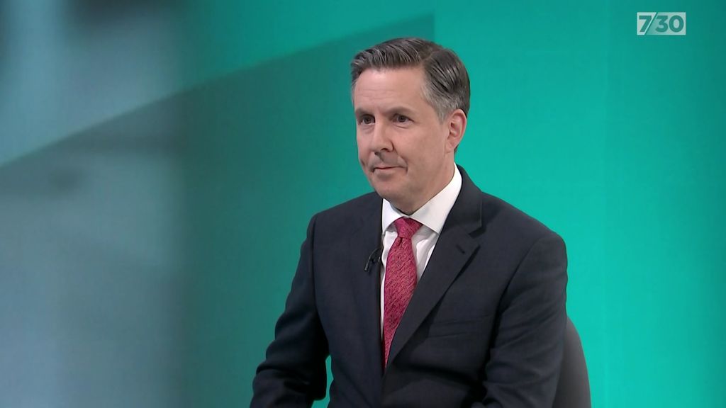 Health Minister Mark Butler declares crackdown on vaping - ABC News