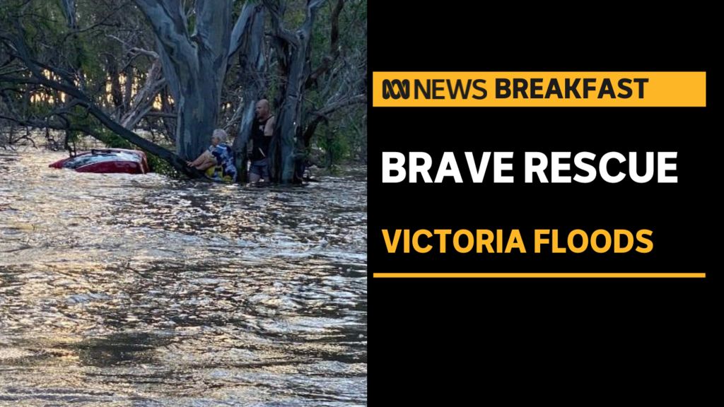 Good Samaritan rescues woman trapped in Victoria floodwaters - ABC News