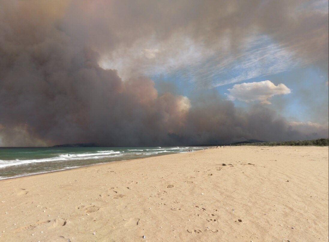 Family on holidays flees along beach to Bermagui to escape Tathra ...