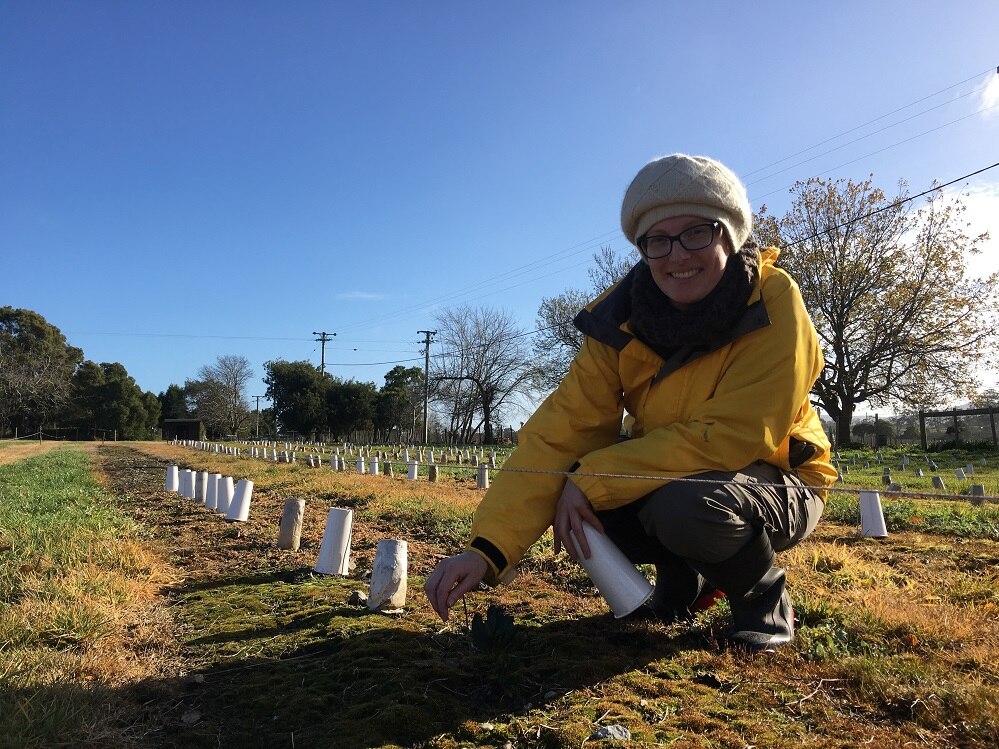 Tasmanian Country Hour - ABC listen