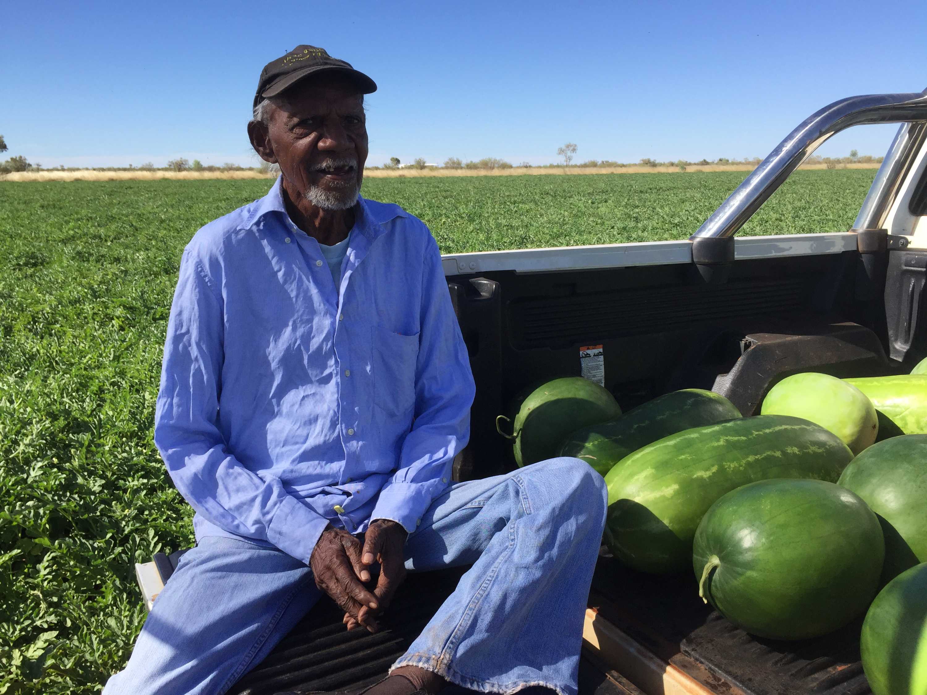 NT's Desert Springs watermelon farm turns to backpackers as it ...