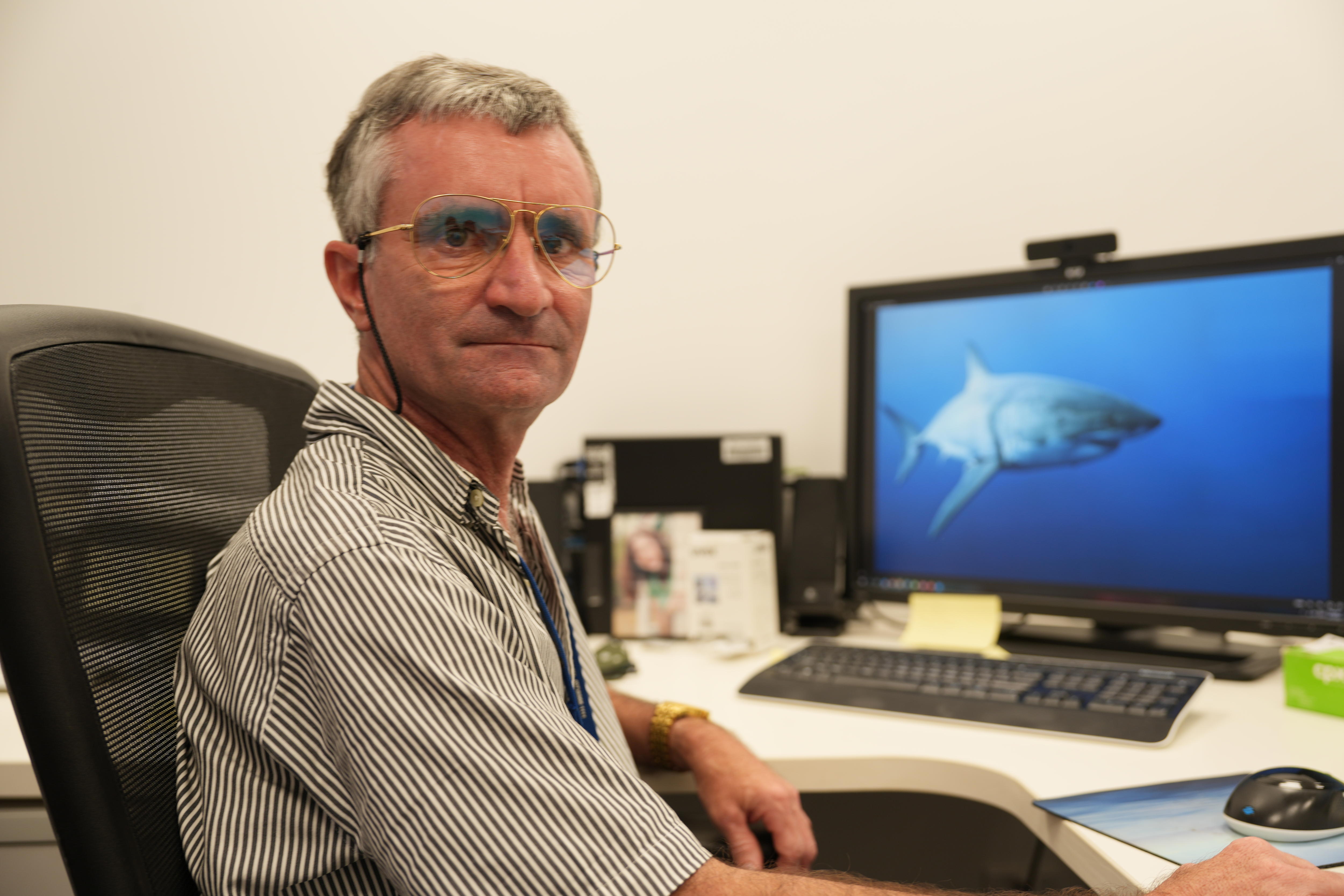 Fishermen and researchers say breeding season makes catching a shark in ...