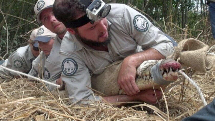 Crocodile crackdown: Controversy over Queensland's croc exclusion zones ...