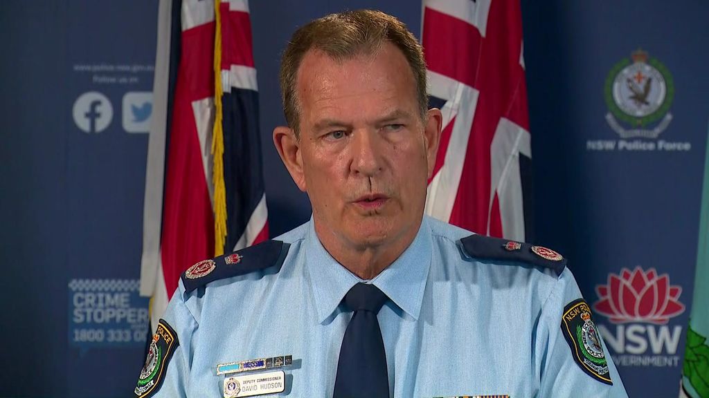 NSW Police announce Operation Shelter to respond to pro-Palestinian ...
