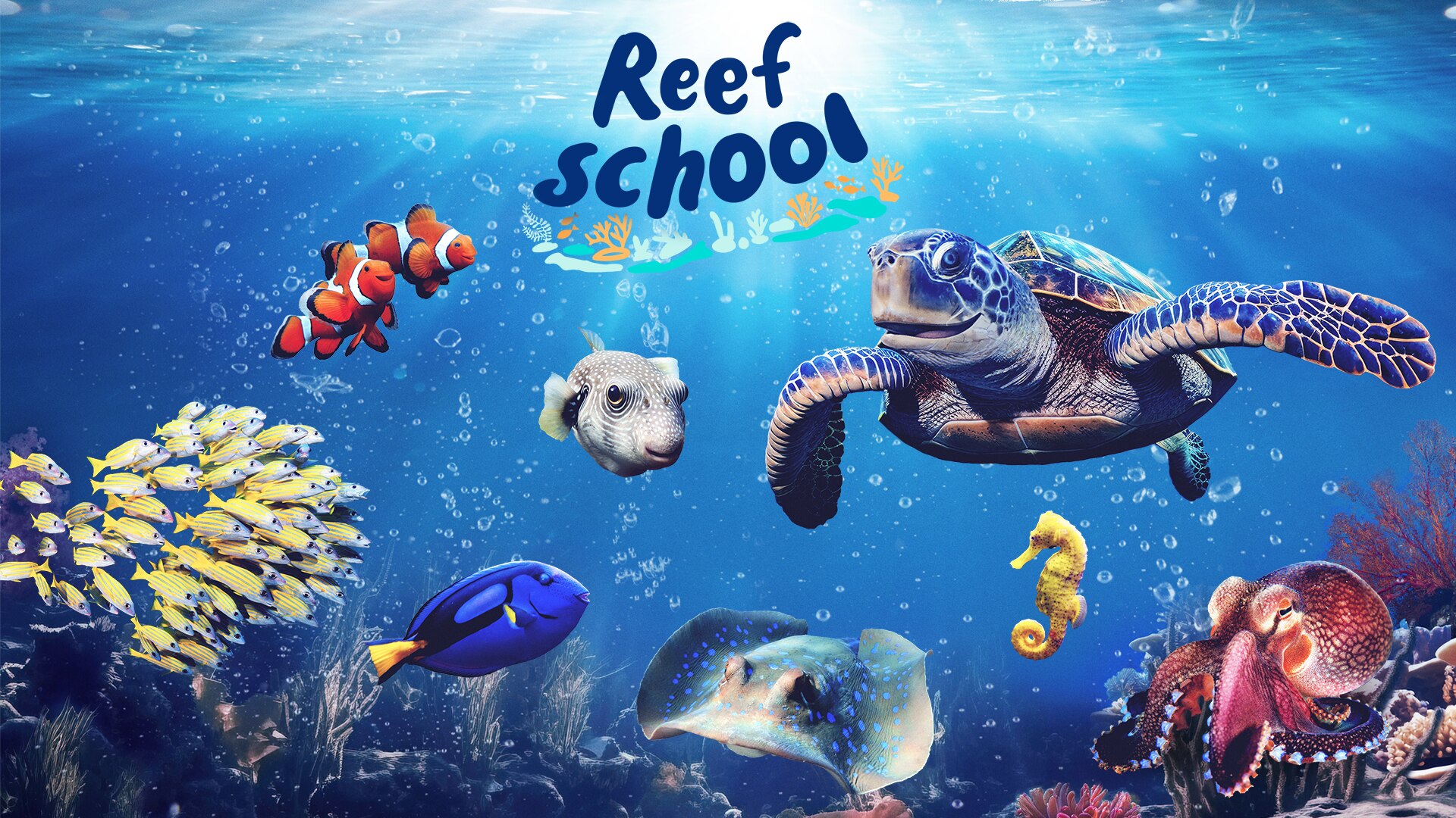 Reef School - ABC Content Sales