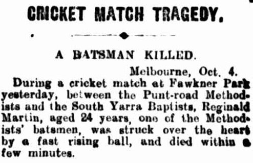 Cricket death report highlights need for more neck and chest protection ...