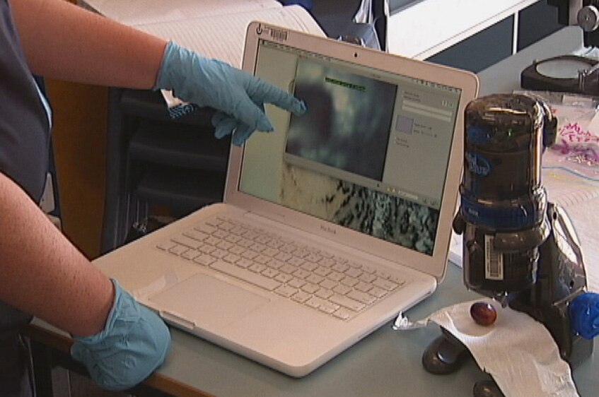 making-science-fun-for-high-school-students-abc-news