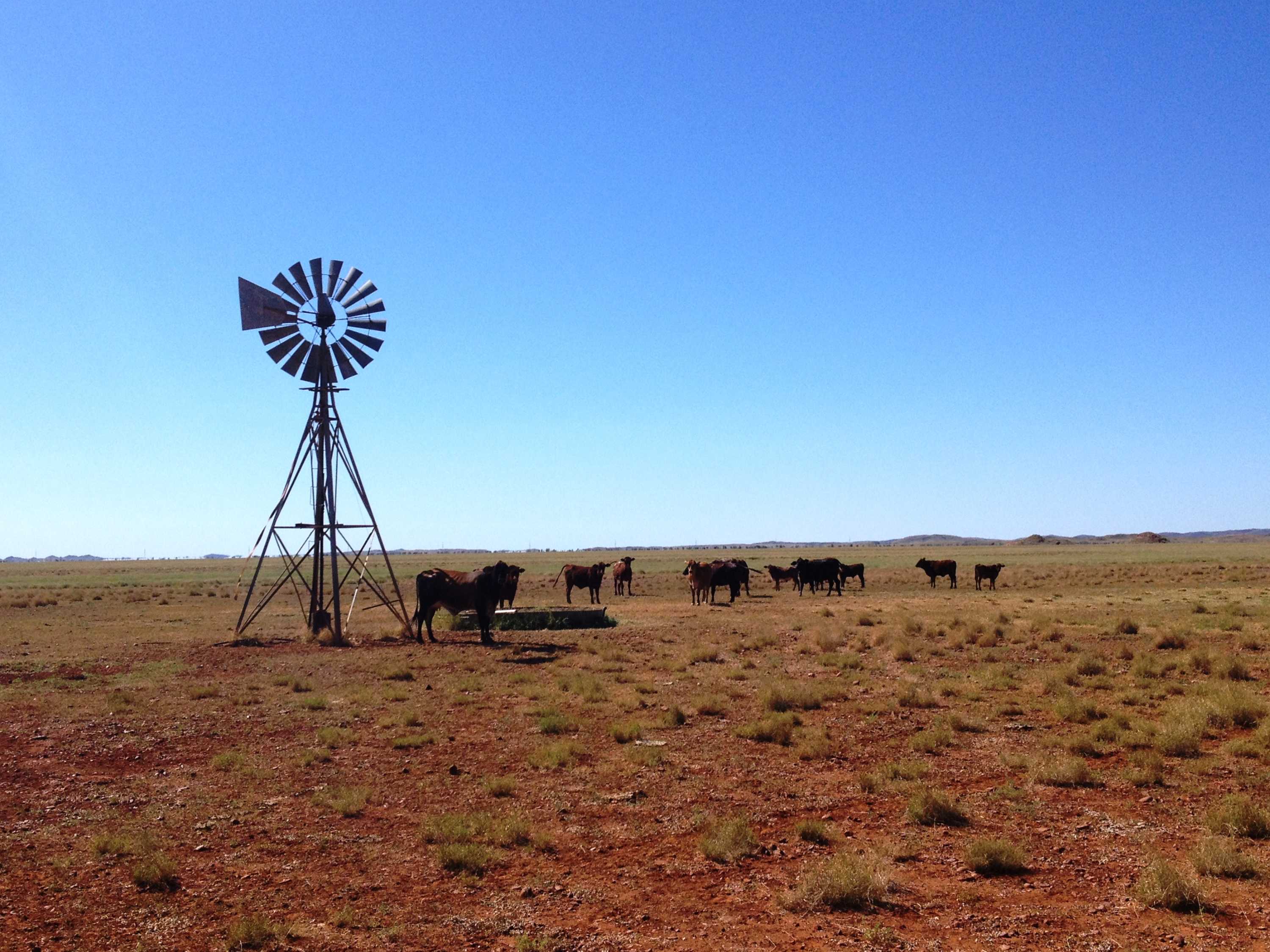 Building a Pilbara station for the Ngarluma community - ABC News