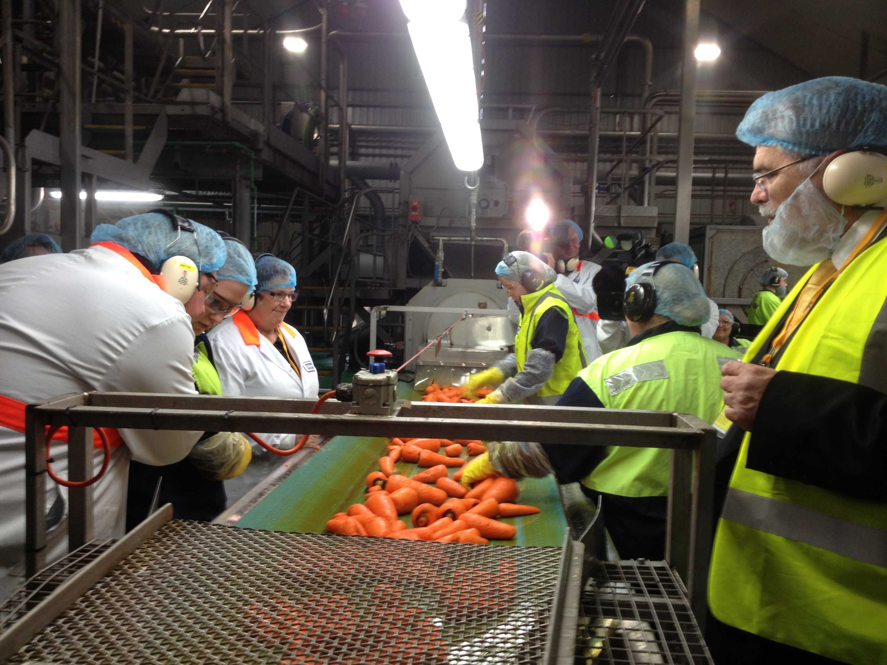 Struggling vegetable processor offered federal funding for plant ...