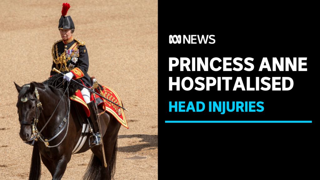 Royalty - Topic - ABC News