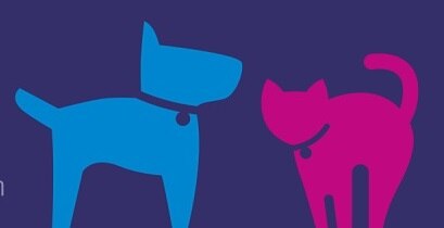 How Much Is It To Register A Dog Sa