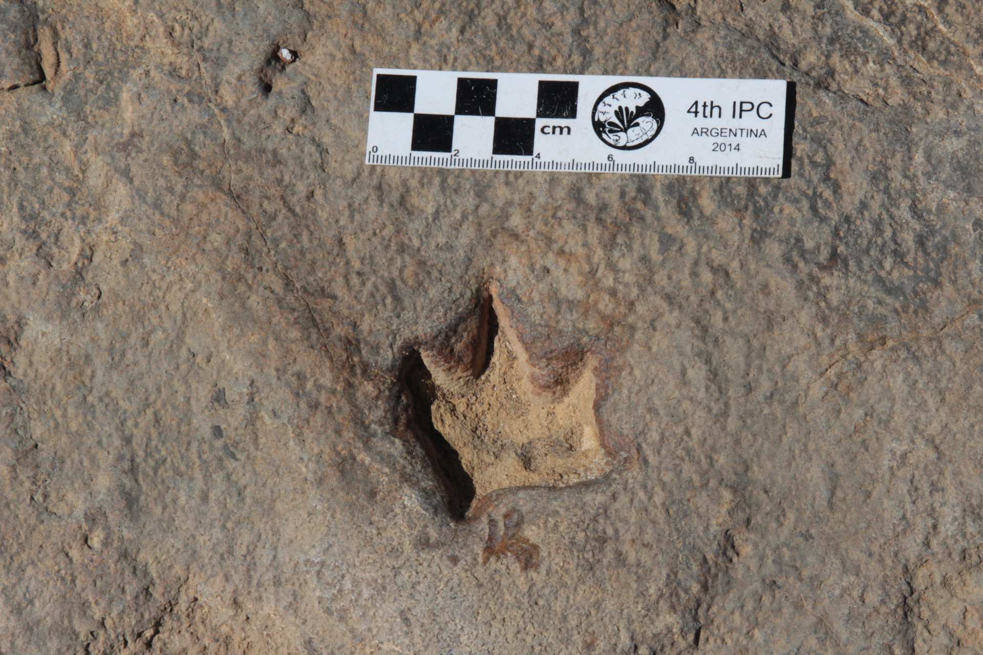 Episode 4 — Tracks across time - ABC Radio