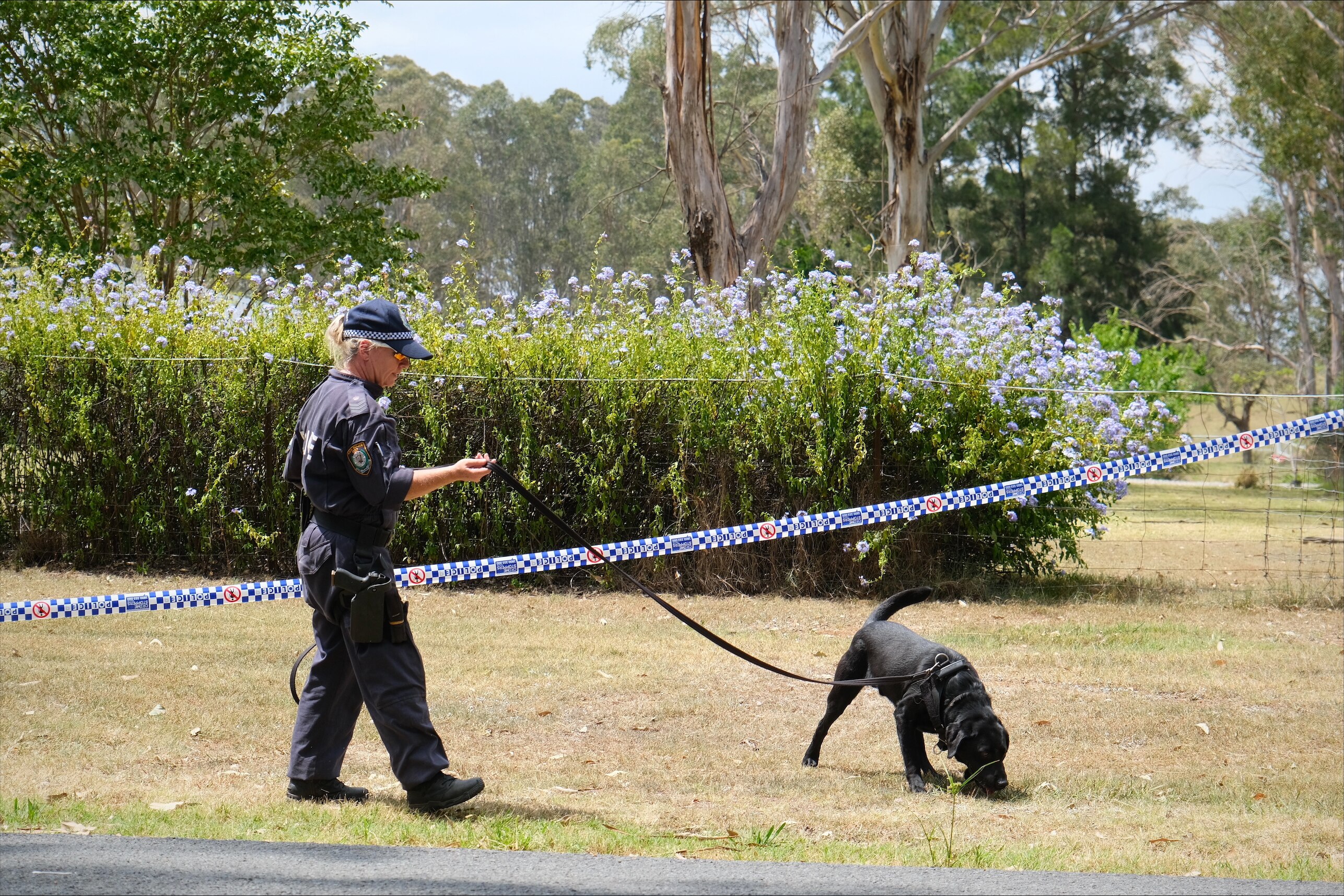 Man charged during police operation after attempted home invasion in ...