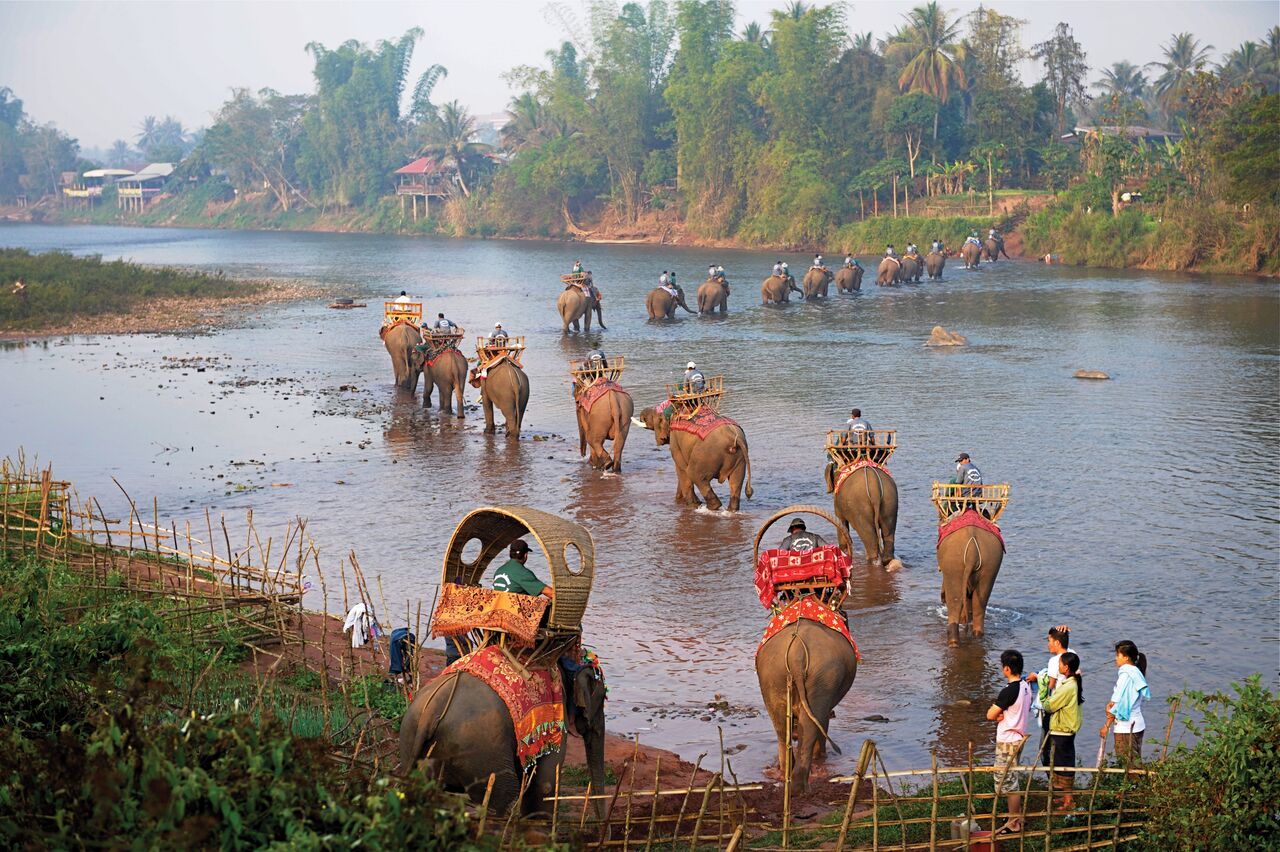 Elephant caravan treks across Laos on mission to stave off extinction ...