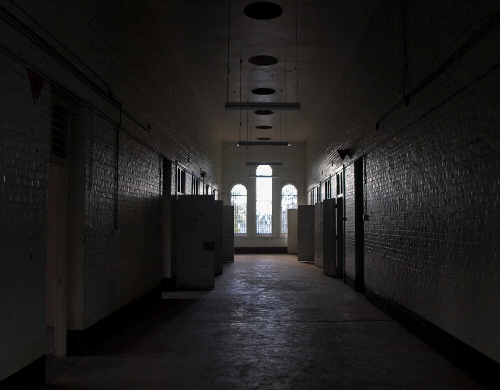 Z Ward asylum to host SALA Festival exhibition for Susanne Wegener's ...