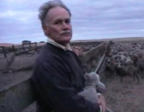 Rural mayor fined for mistreating sheep - ABC News