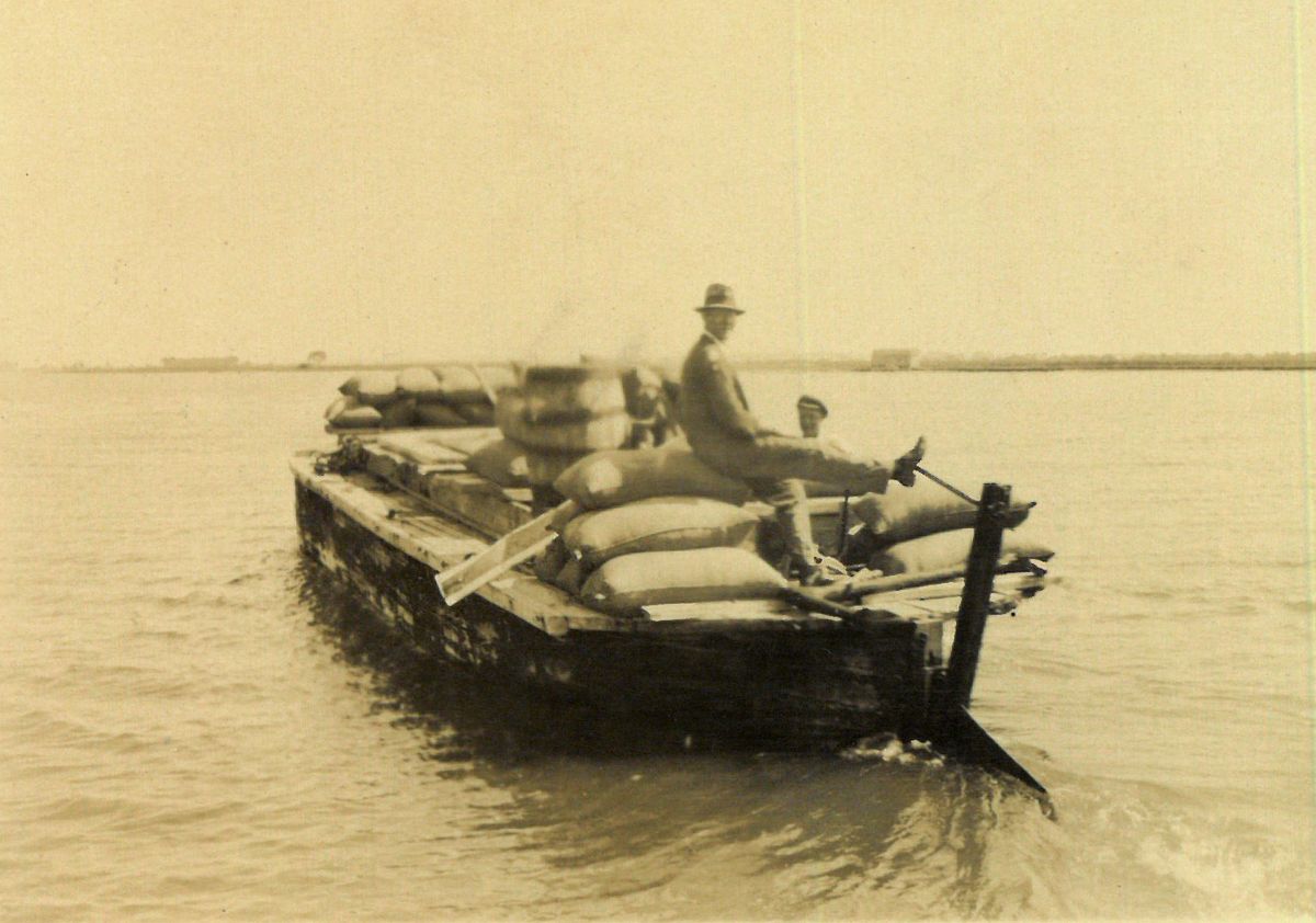 How do you run cattle and sheep in a swamp? This farm has done it for ...