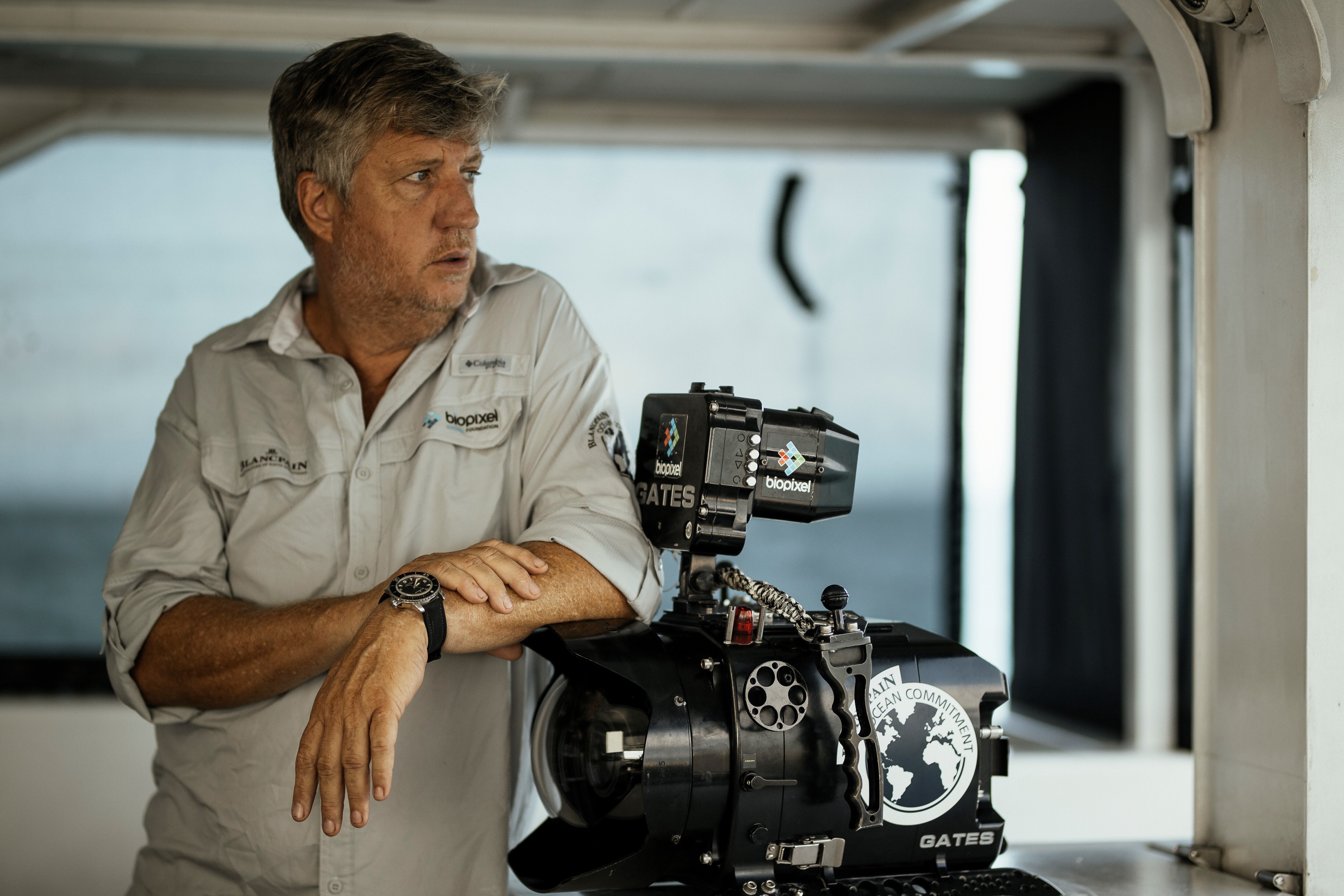 A life aquatic - ABC listen