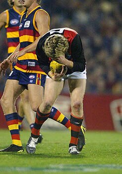 Bombers assess Hird injury - ABC News