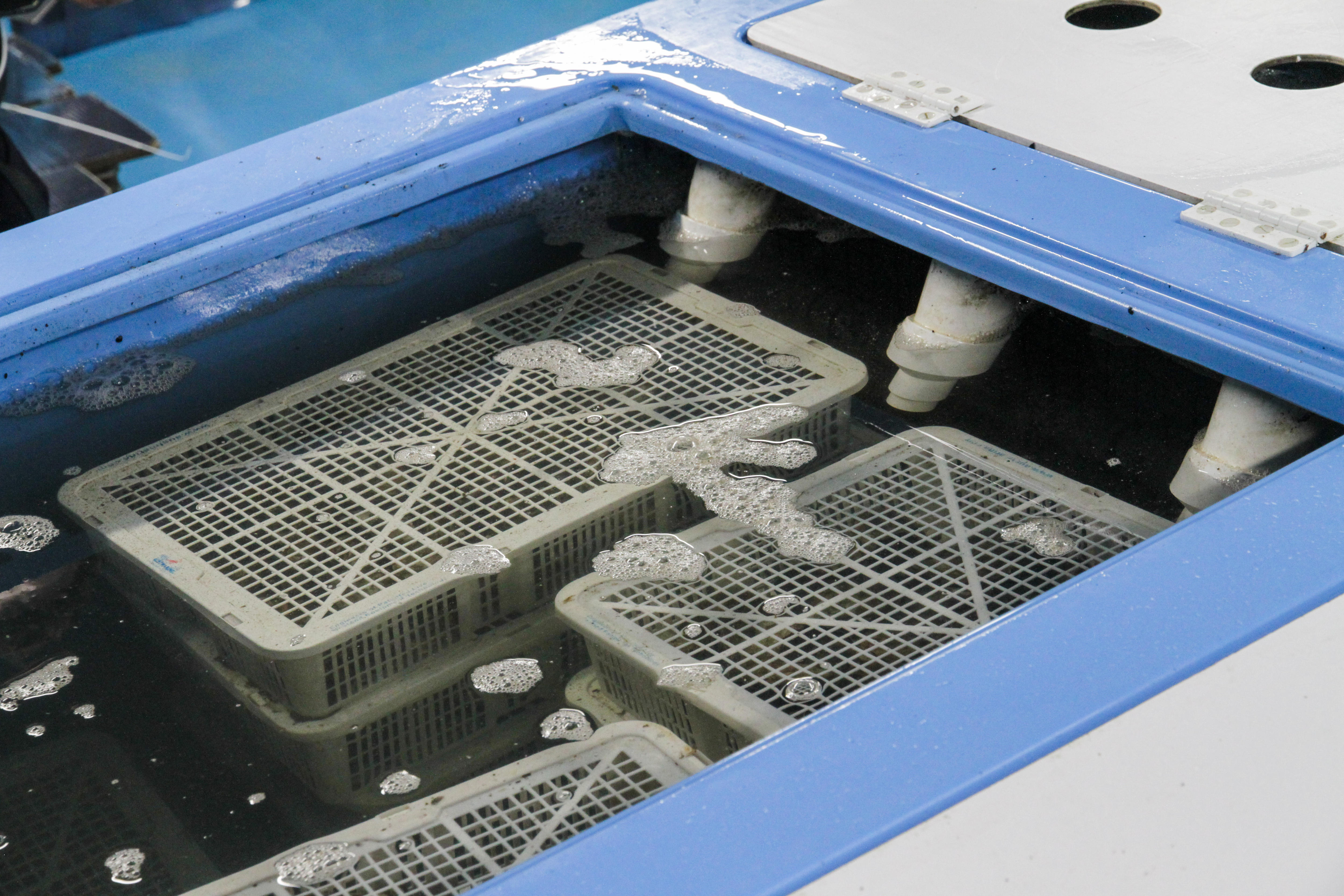 Wet storage tanks a popular choice for NSW South Coast oyster farmers ...